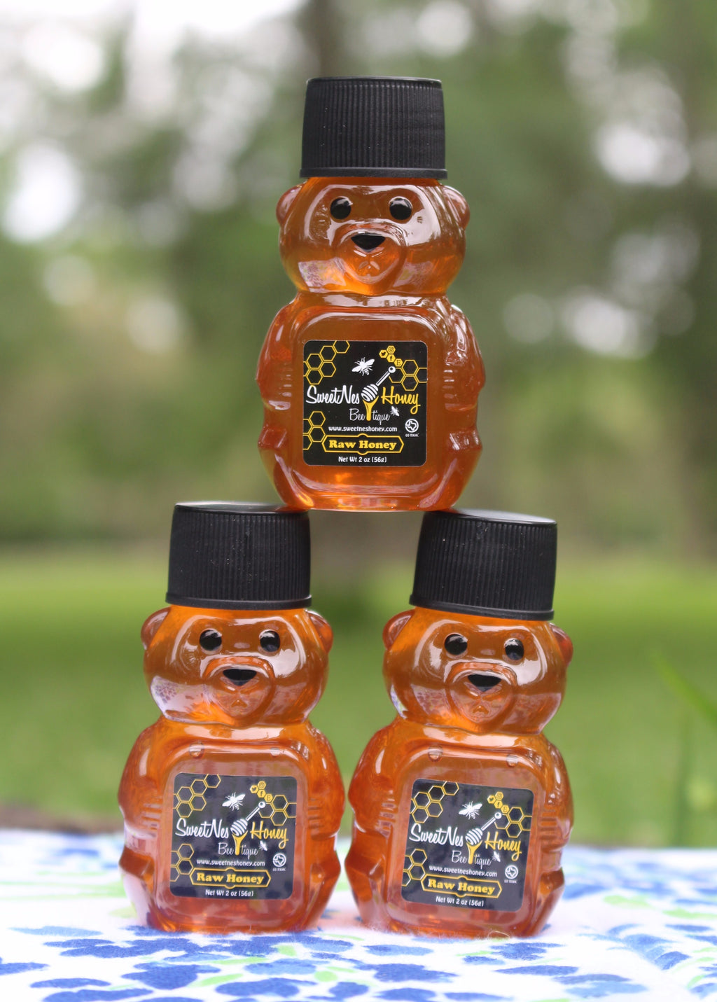 2oz Raw Honey Bear Party Favor 3pk – SweetNes Honey Apiaries & Beetique