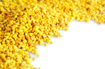 Raw Pollen from Texas – SweetNes Honey Apiaries & Beetique